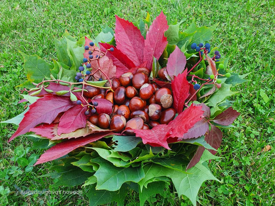 Latviešu biedrība aicina piedalīties izstādē “Rudens veltes ...