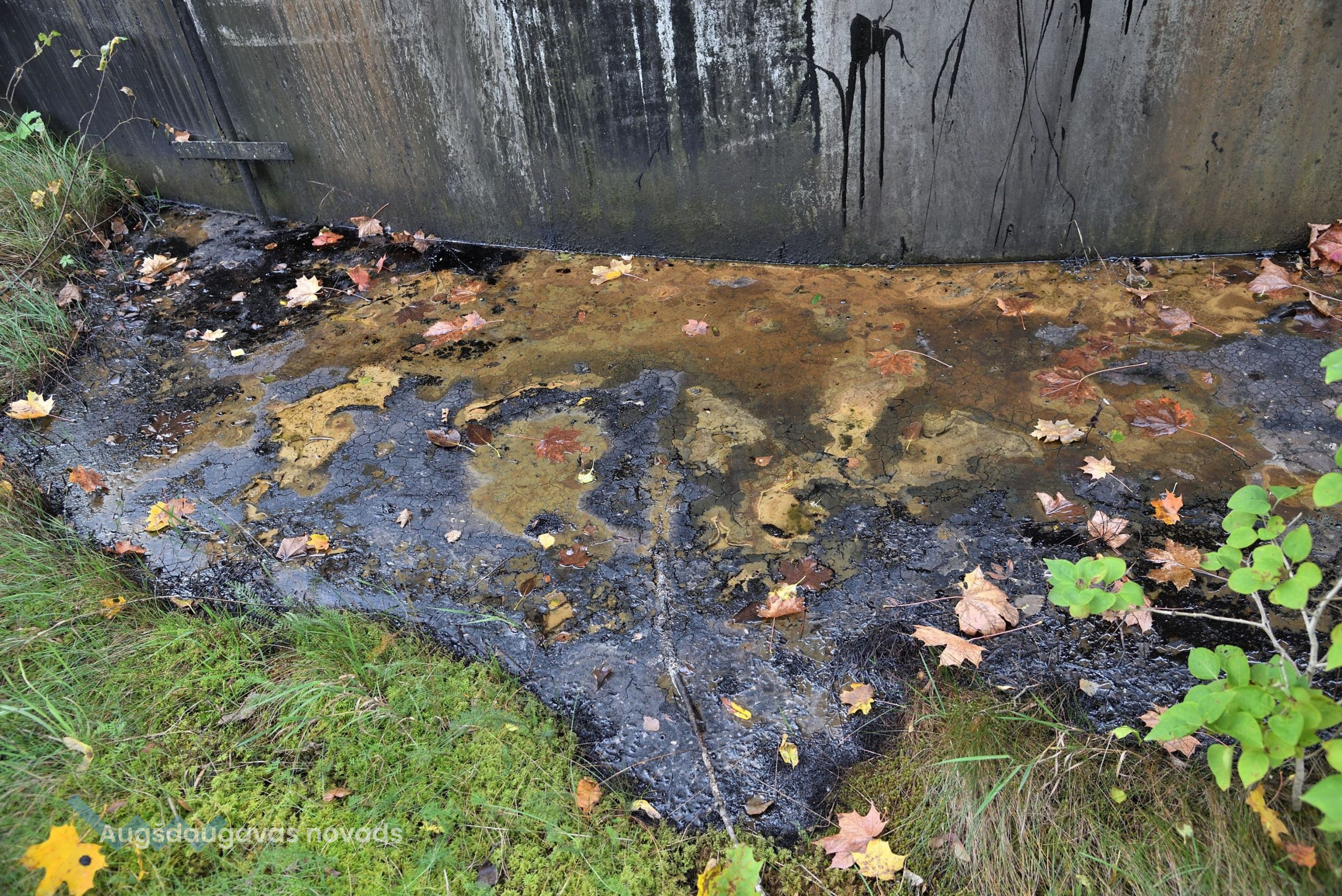 Pieejami pētījumi par mazuta kaitējumu - Augšdaugavas novads